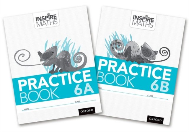 Inspire Maths: Practice Book 6 AB (Mixed Pack) - Opracowanie zbiorowe ...