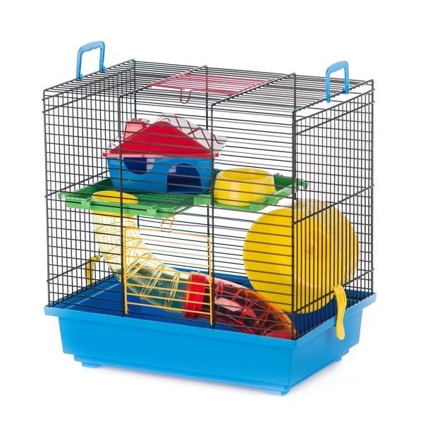 INTER-TEDDY I KOLOR+ TUBA G100C 36x24x36 - Inter-Zoo | Sklep EMPIK.COM