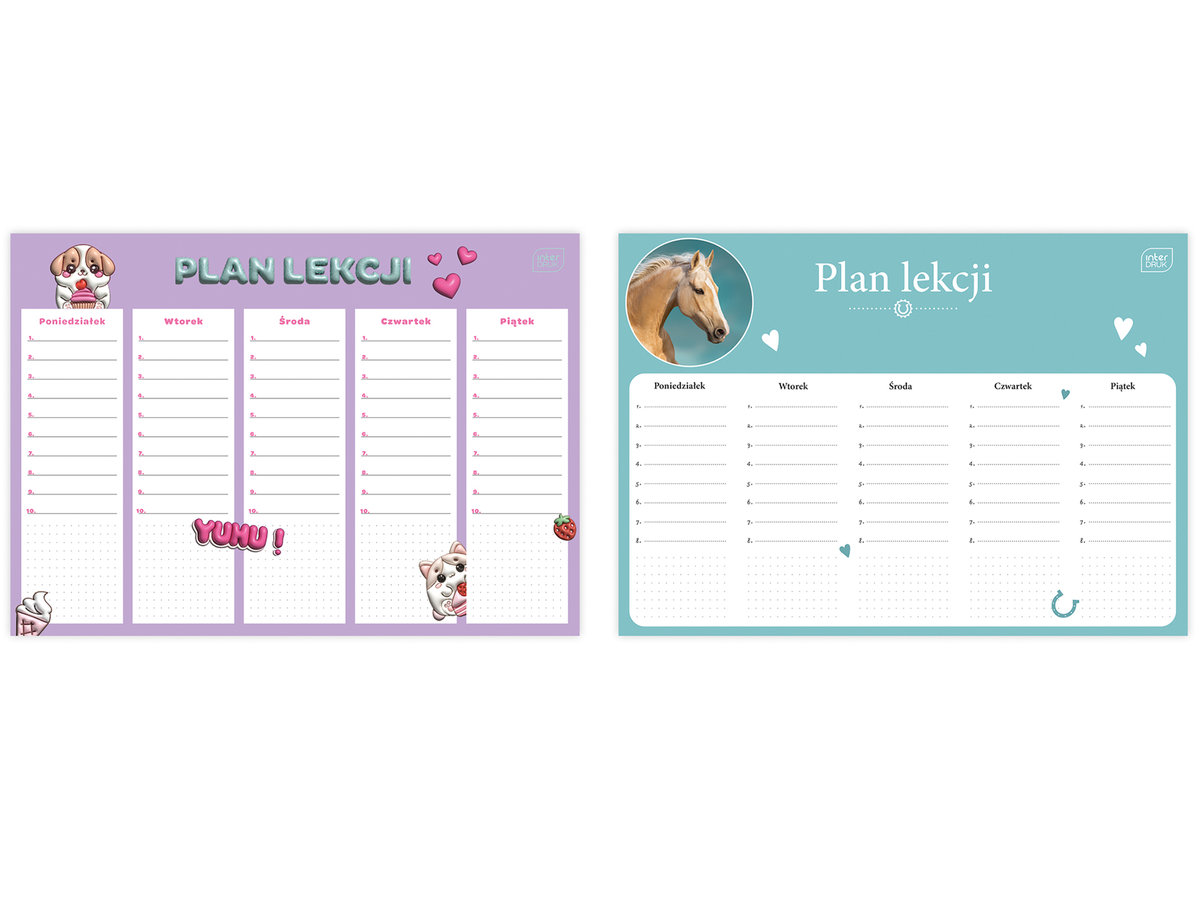 INTERDRUK Szkolny Plan LEKCJI Tygodniowy A4 Girls MIX - Interdruk | Sklep EMPIK.COM