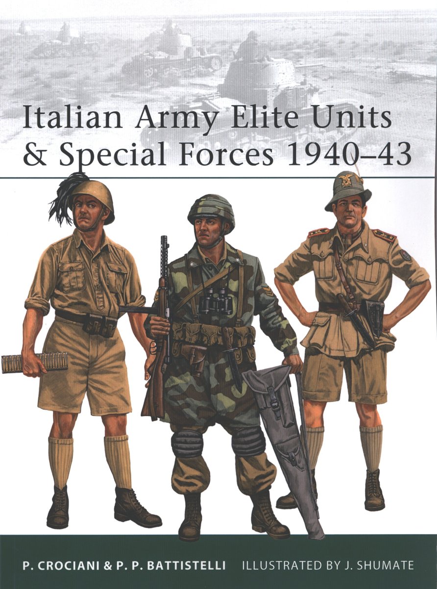 Italian Army Elite Units & Special Forces 1940-43 - Battistelli Pier ...