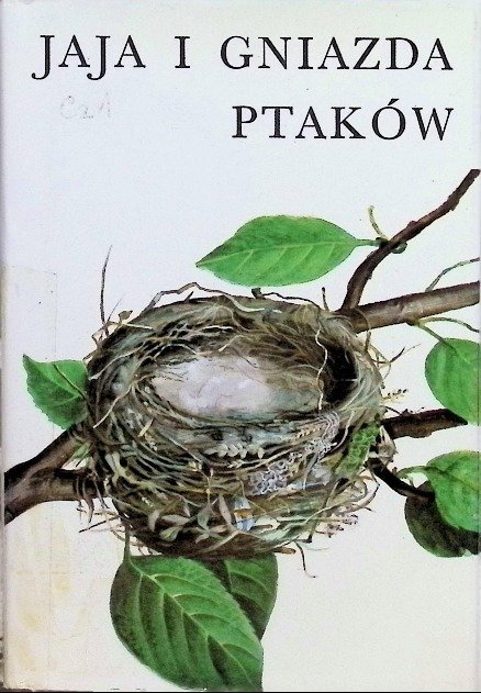 Jaja i gniazda ptaków - W opisie | Książka w Empik