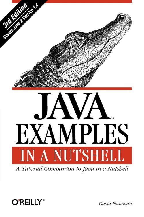Java Examples in a Nutshell - Flanagan David | Książka w Empik