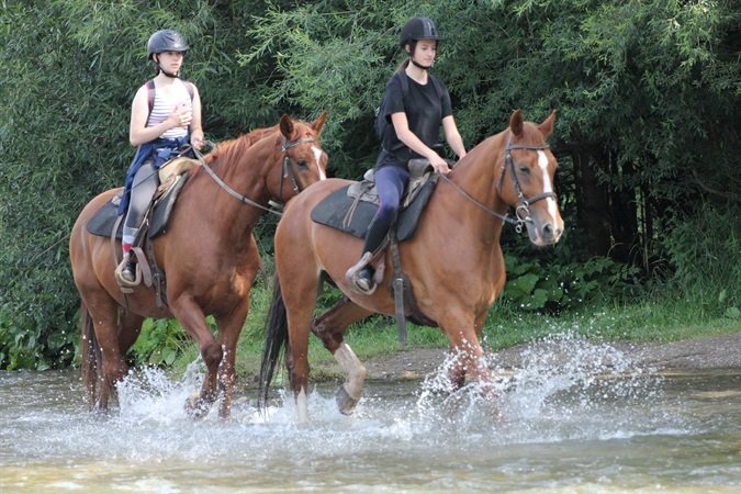 Jazda konna w terenie dla dwojga (dla początkujących) - Kościelisko ...