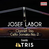 Josef Labor Clarinet Trio / Cello Sonata No. 2 - Various Artists ...
