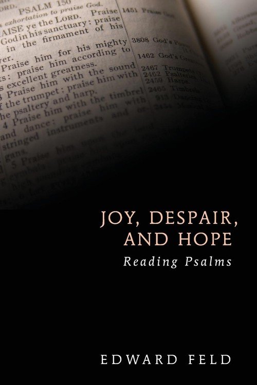 Joy, Despair, and Hope - Feld Edward | Książka w Empik