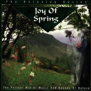 JOY OF SPRING - Various Artists | Muzyka Sklep EMPIK.COM