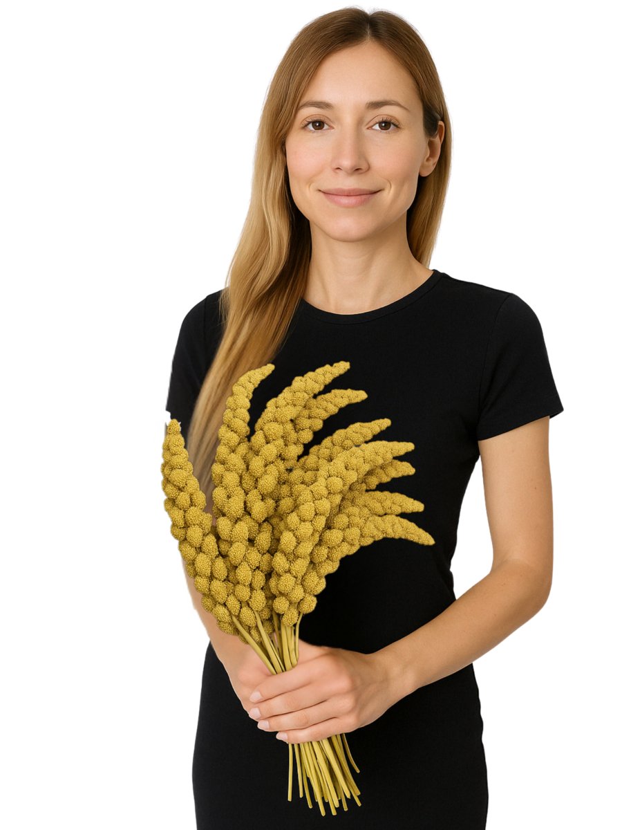 JR FARM Spray Millet Yellow- proso żółte w kłosach 500g - Jr Farm ...