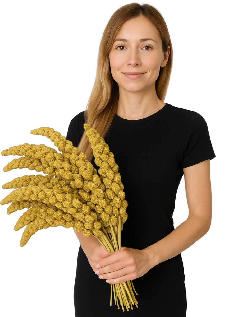 JR FARM Spray Millet Yellow- proso żółte w kłosach dla papug 1kg - Jr ...
