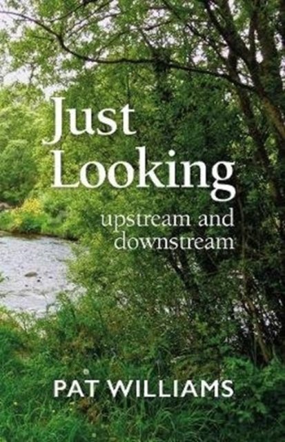 Just Looking. upstream and downstream - Williams Pat | Książka w Empik