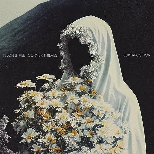 Juxtaposit, płyta winylowa - Various Artists | Muzyka Sklep EMPIK.COM