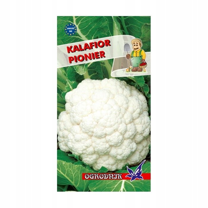 Kalafior Pionier 1g / O / - Inna marka | Sklep EMPIK.COM