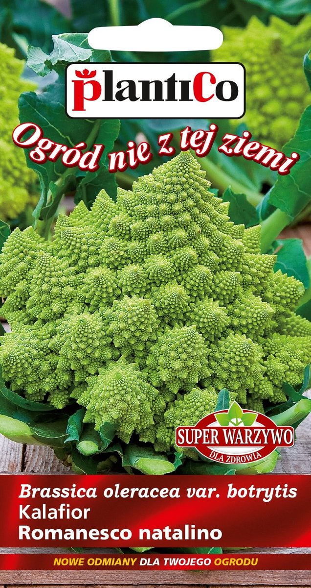 Kalafior Romanesco natalino 0.2 g PLANTICO - PlantiCo | Sklep EMPIK.COM