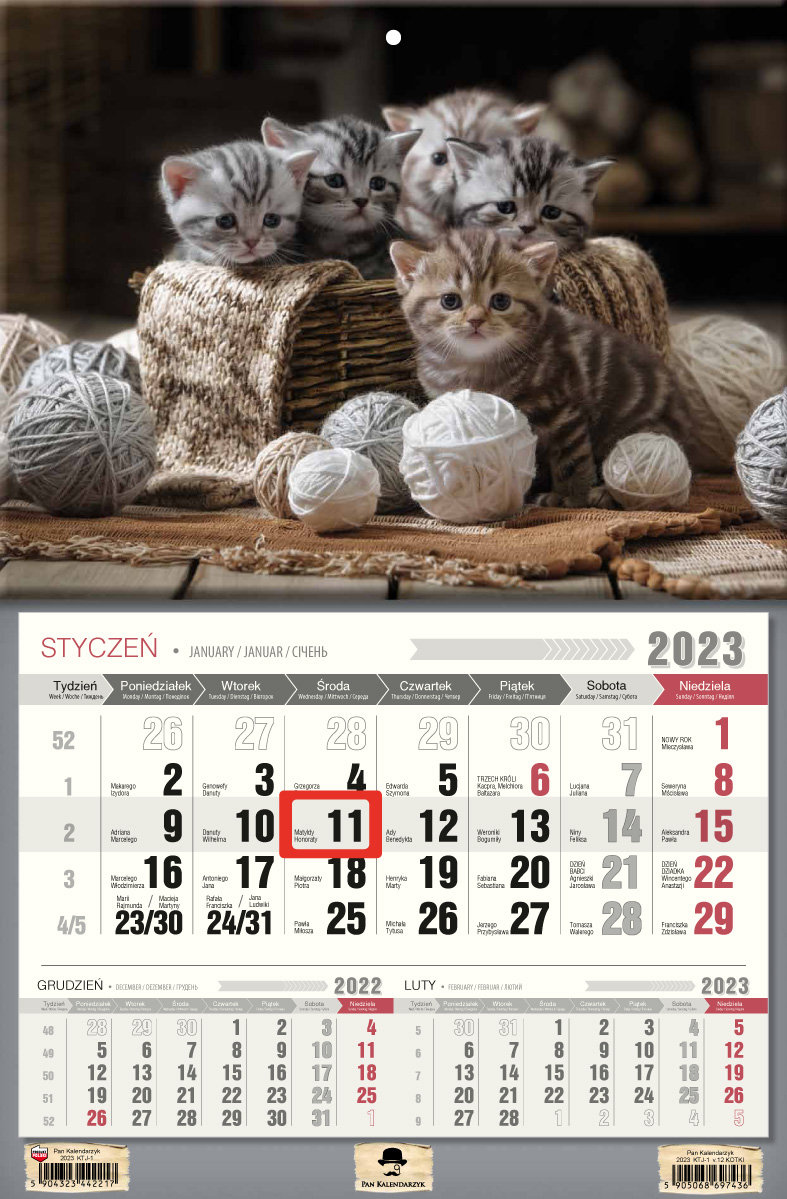 Kalendarz 2023, jednodzielny, KTJ-1 KOTKI V12 - Pan Kalendarzyk | Sklep EMPIK.COM