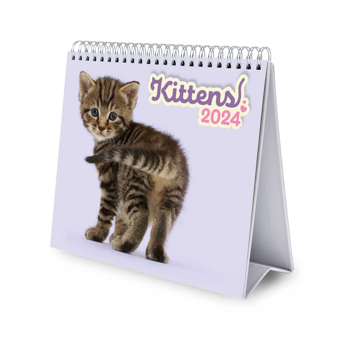 Kalendarz Biurowy Deluxe 2024 Cat Warren Photographic - Inna marka ...