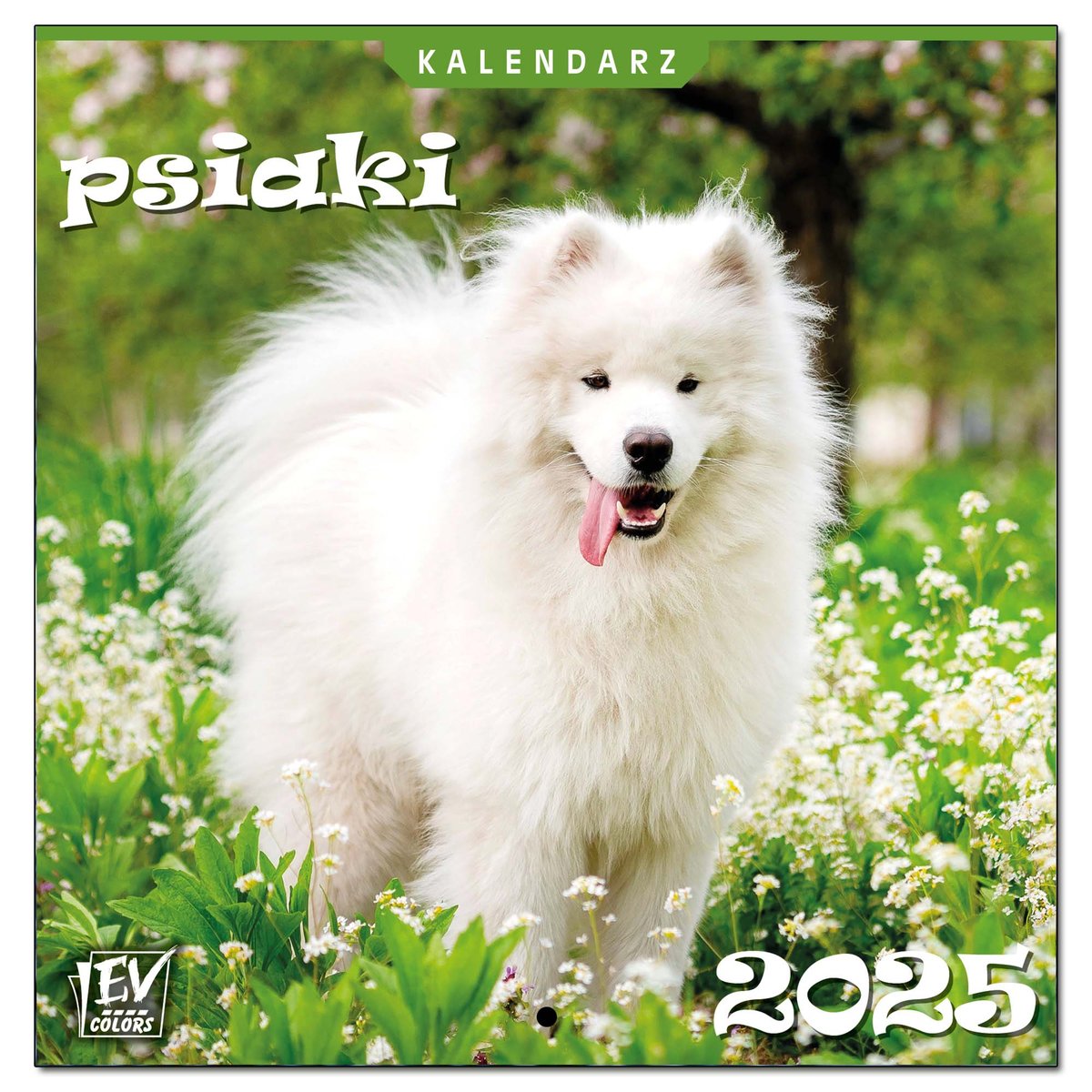 Kalendarz miesięczny, 2025, 16x32 cm, ścienny dziecięcy, Psiaki - EV ...