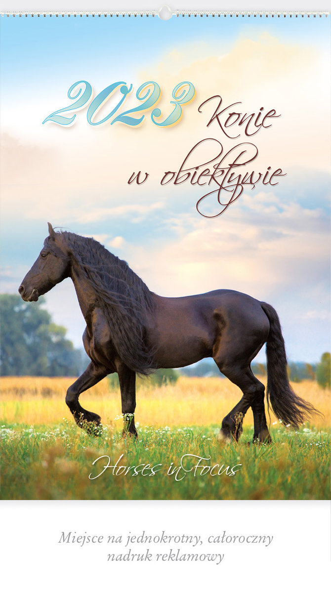 Kalendarz ścienny 2023, Konie w obiektywie - Lucrum | Sklep EMPIK.COM