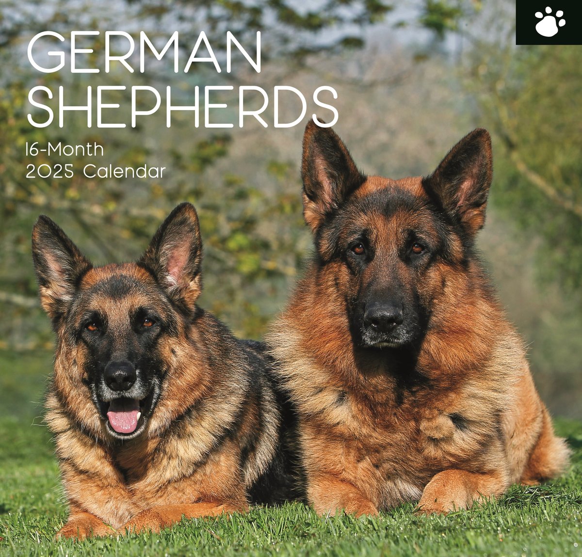 Kalendarz ścienny 2025 Owczarki niemieckie Psy 30x30 - Inna marka | Sklep EMPIK.COM