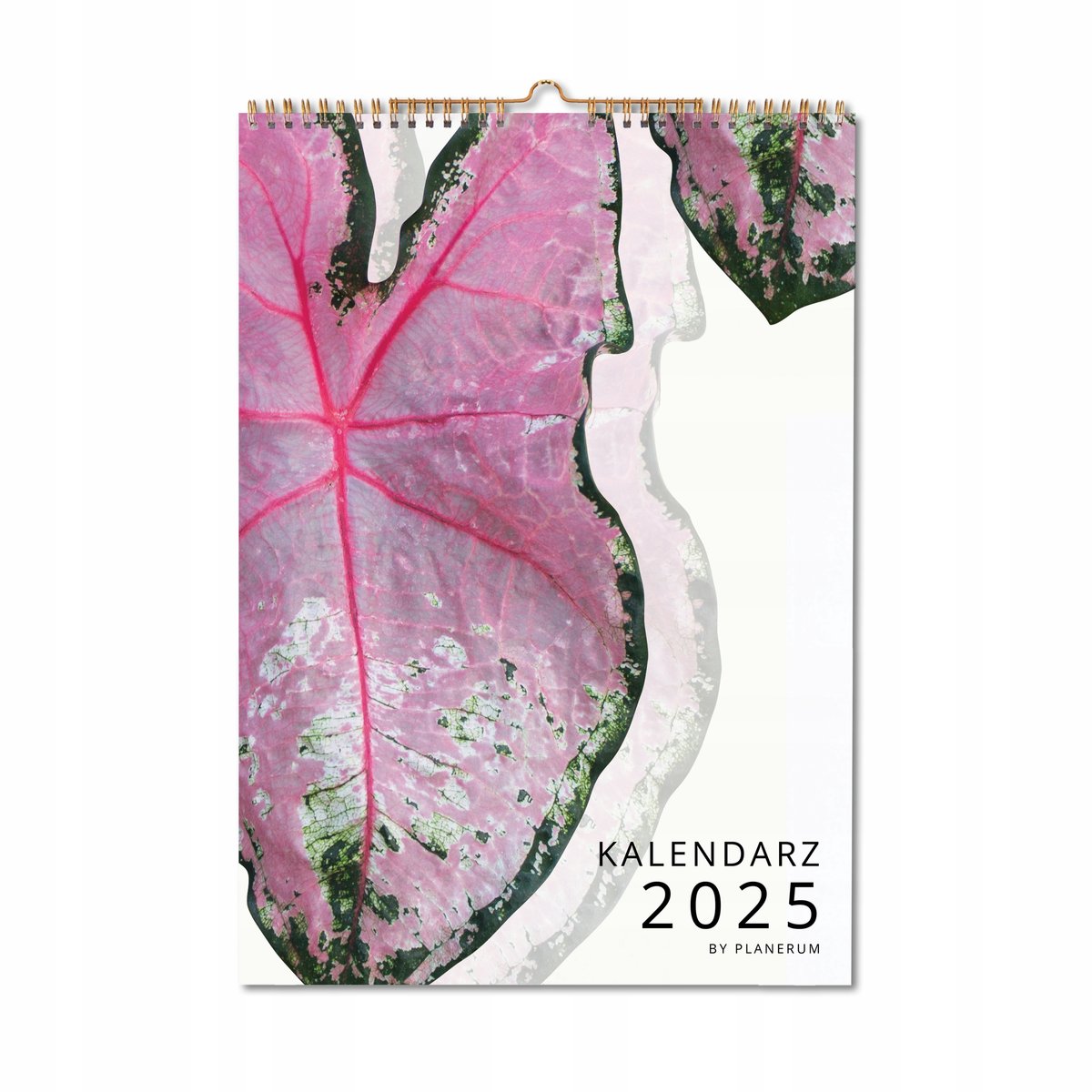 Kalendarz ścienny na spirali 2025 A3 BOTANICAL PREMIUM - Inna marka | Sklep EMPIK.COM