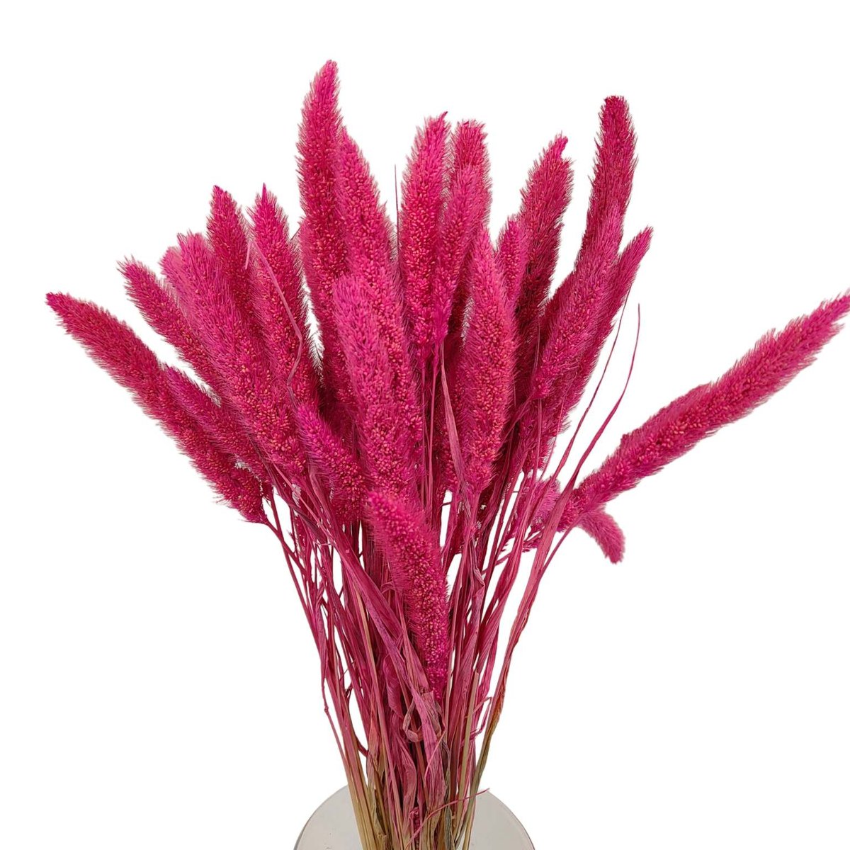 Kanar wiązka różowy - Inna marka | Sklep EMPIK.COM