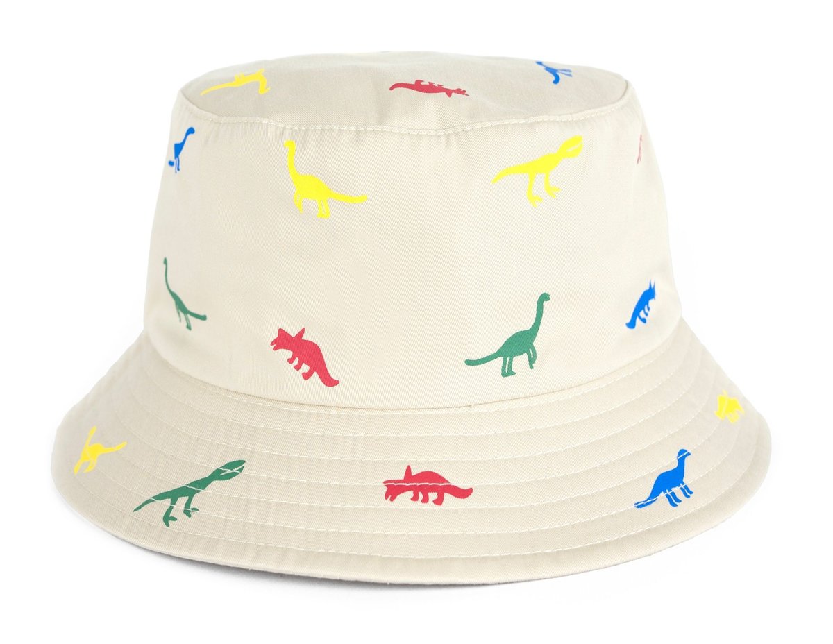 Kapelusz Bucket Hat Rybacki Dla Dziecka Chłopca Dziewczynki Dinozaury Letni - Inna marka | Sklep ...