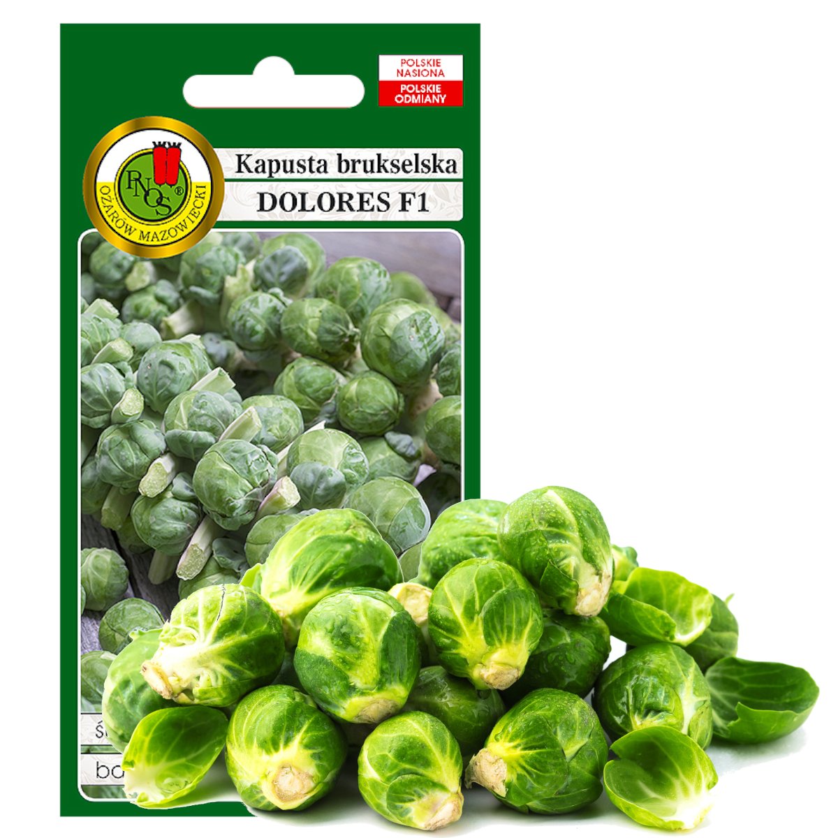 KAPUSTA BRUKSELSKA DOLORES ODPORNA NASIONA BEZ GMO - PNOS | Sklep EMPIK.COM