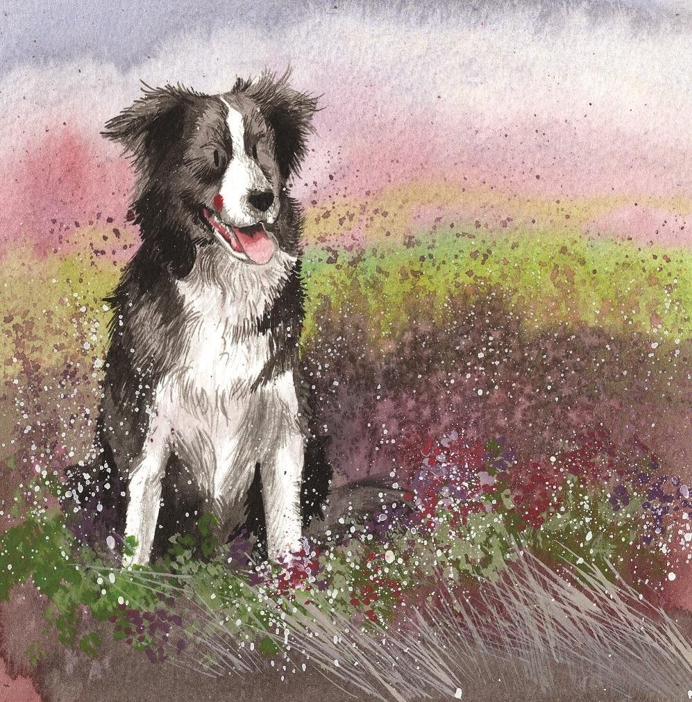 Karnet AC580 Pies Collie - Inna marka | Sklep EMPIK.COM