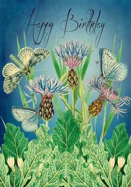 Karnet B6 z kopert Urodziny Ogr d - Top Graphic | Sklep EMPIK.COM