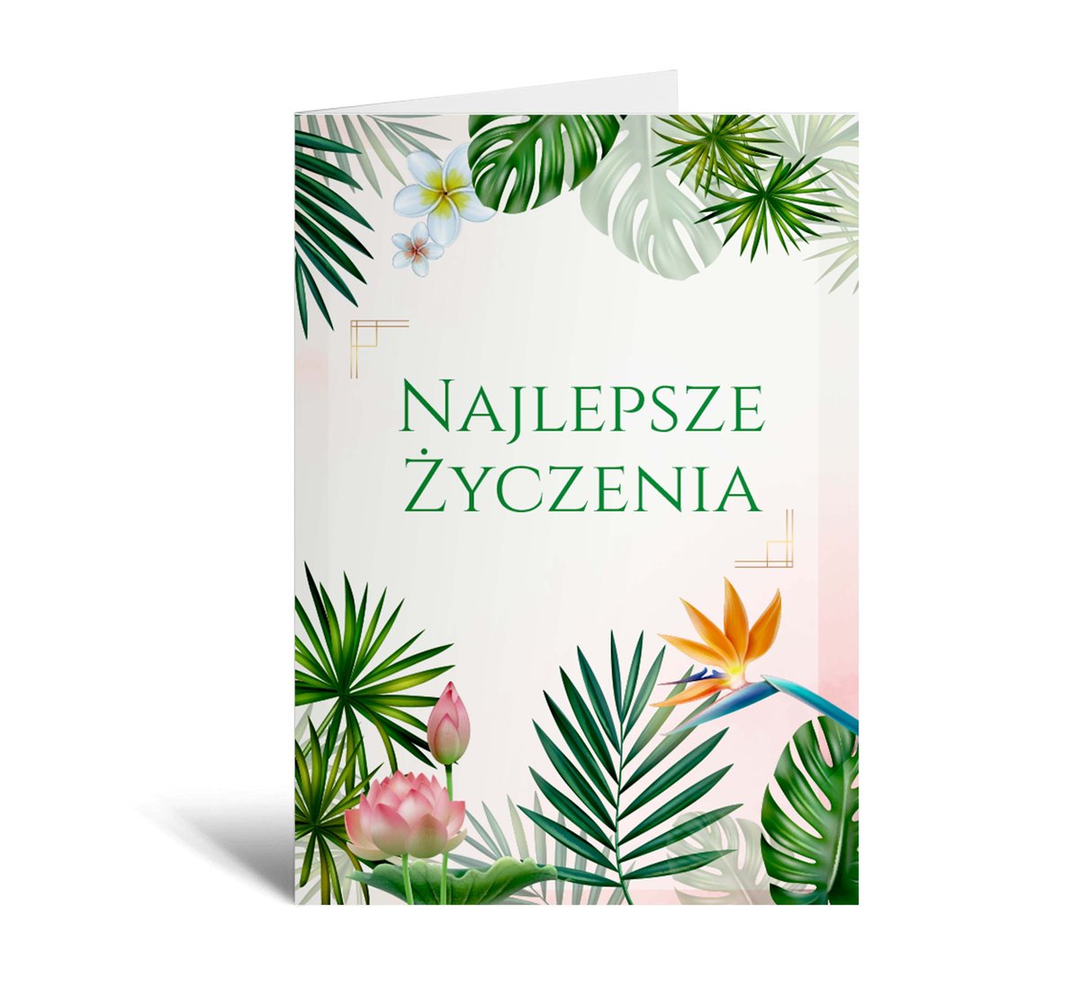 Karnet Premium Ż.O 05 - V TRADE | Sklep EMPIK.COM