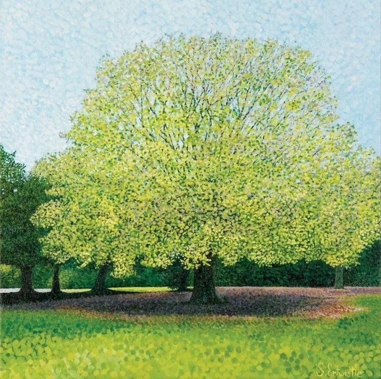 Karnet z kopert Buk paprociowy - inna (Inny) | Sklep EMPIK.COM