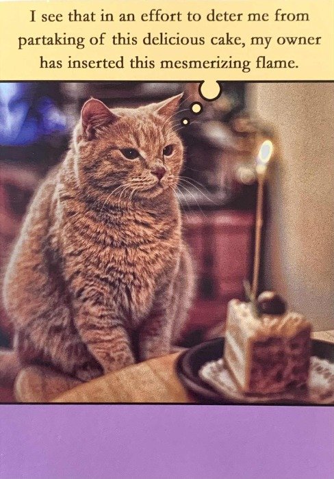 Kartka urodzinowa I see that in an effort to deter me...kot - Inna ...