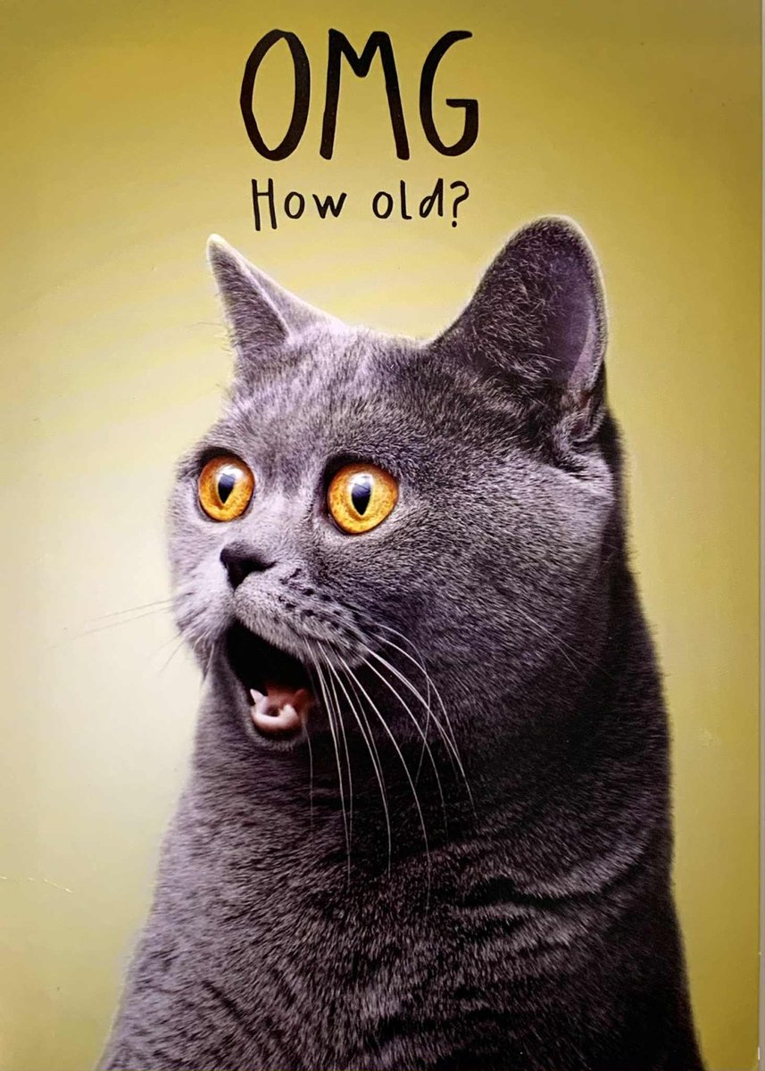 Kartka urodzinowa OMG How Old? Kot - Inna marka | Sklep EMPIK.COM