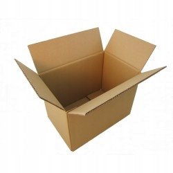 Karton 310 x 200 x 190 - Inny producent | Sklep EMPIK.COM