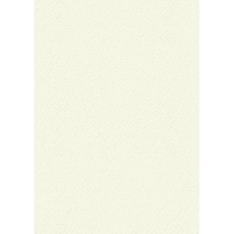 Karton wytłoczony, format A4, perłowy - Heyda | Sklep EMPIK.COM