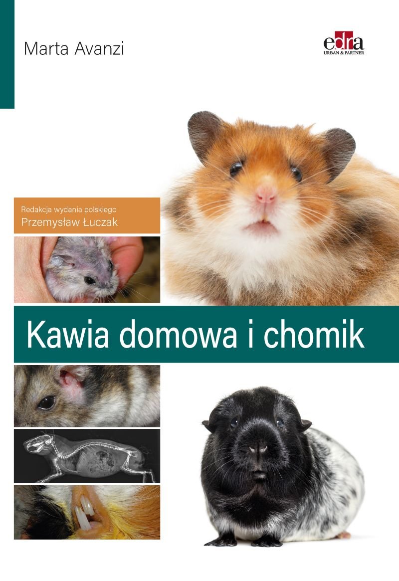 Kawia domowa i chomik - Avanzi Marta | Książka w Empik