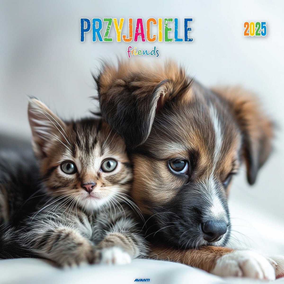 Kd-19 Przyjaciele Kalendarium Miesięczne - Avanti | Sklep EMPIK.COM