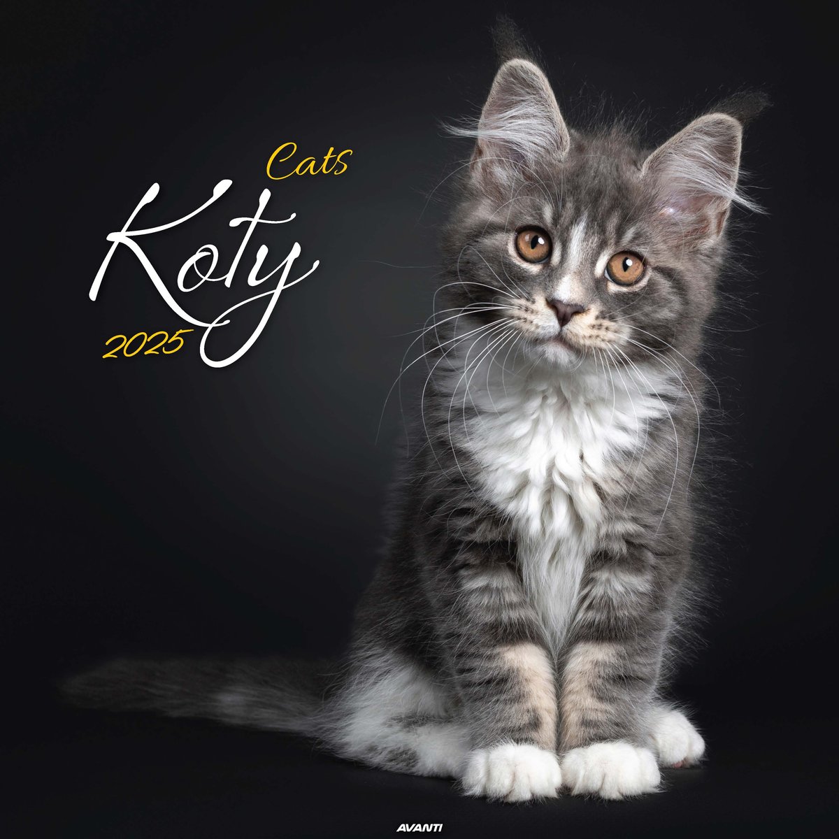 Kd-21 Koty Kalendarium Miesięczne - Avanti | Sklep EMPIK.COM