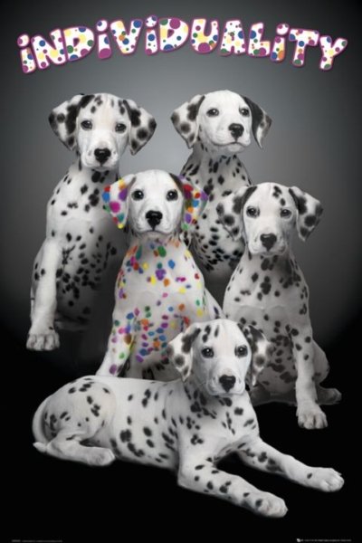 KEITH KIMBERLIN plakat 61x91cm - GB eye | Sklep EMPIK.COM