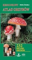 Kieszonkowy atlas grzybów - Skubla Pavol | Książka w Empik