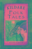 Kildare Folk Tales - Lally Steve | Książka w Empik