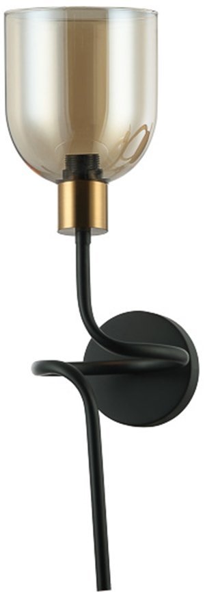 Kinkiet Servio WL-66892-1A-BK-AMB ścienny do holu czarny - ITALUX ...