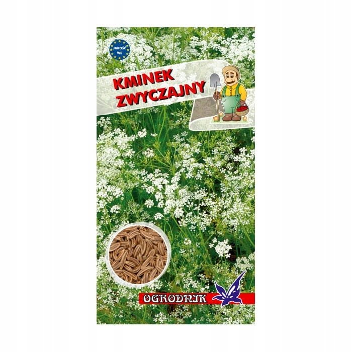 Kminek zwyczajny 0,5g / O / - Ogrodnik | Sklep EMPIK.COM