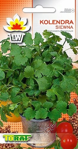 KOLENDRA SIEWNA Coriandrum Sativum nasiona 2g - Premium Seeds | Sklep ...