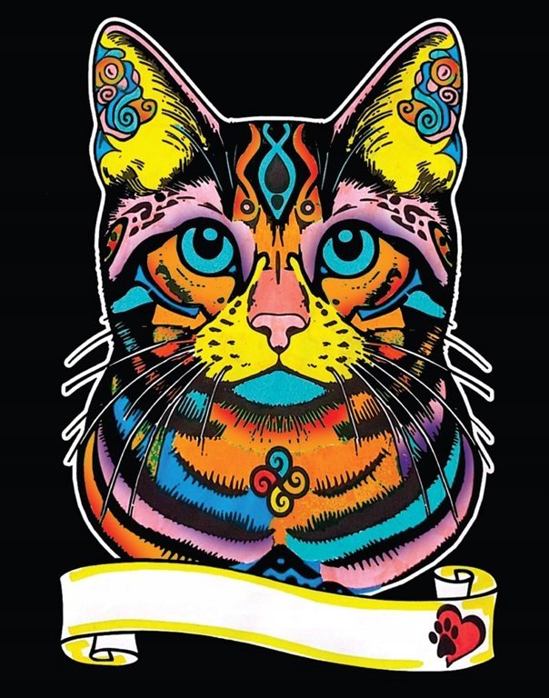 KOLOROWANKA WELWETOWA A4 KOT EUROPEJSKI COLORVELVET - Inna marka ...