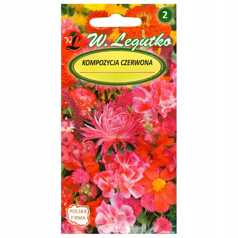Kompozycja czerwonych kwiatów ozdobnych LEGUTKO - W. Legutko | Sklep EMPIK.COM