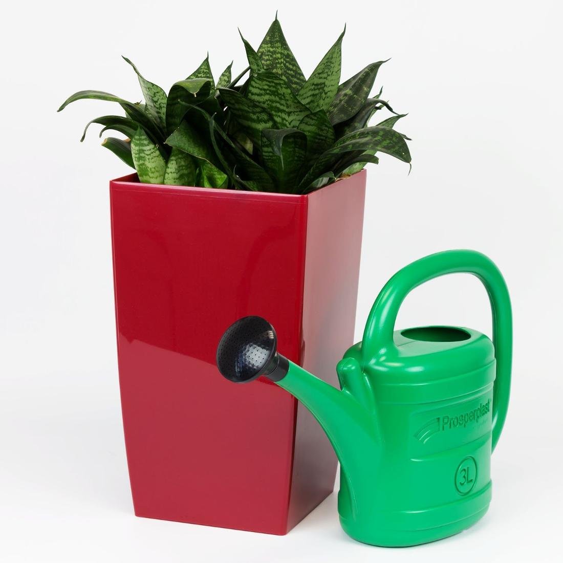 Konewka PROSPERPLAST Spring, zielona, 3 l - PROSPERPLAST | Sklep EMPIK.COM