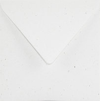 Koperty kwadratowe eko Flora Anice białe 5szt. - Netuno | Sklep EMPIK.COM