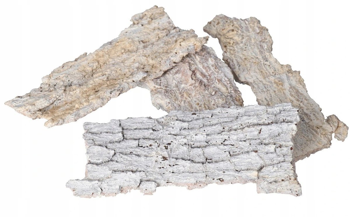 Kora Bielona Susz Dekoracyjny Drewno Do Stroika - Inny producent | Sklep EMPIK.COM