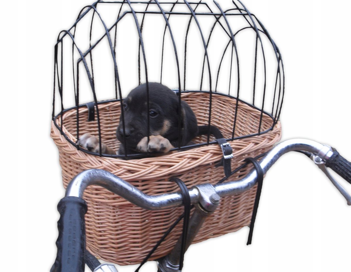 Kosz wiklinowy na rower Transporter dla PSA-KOTA do 6kg - wiklinowe-kosze | Sklep EMPIK.COM