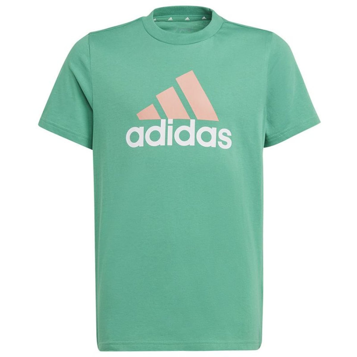 Koszulka adidas Big Logo 2 Tee Jr (kolor Zielony, rozmiar 164 cm ...