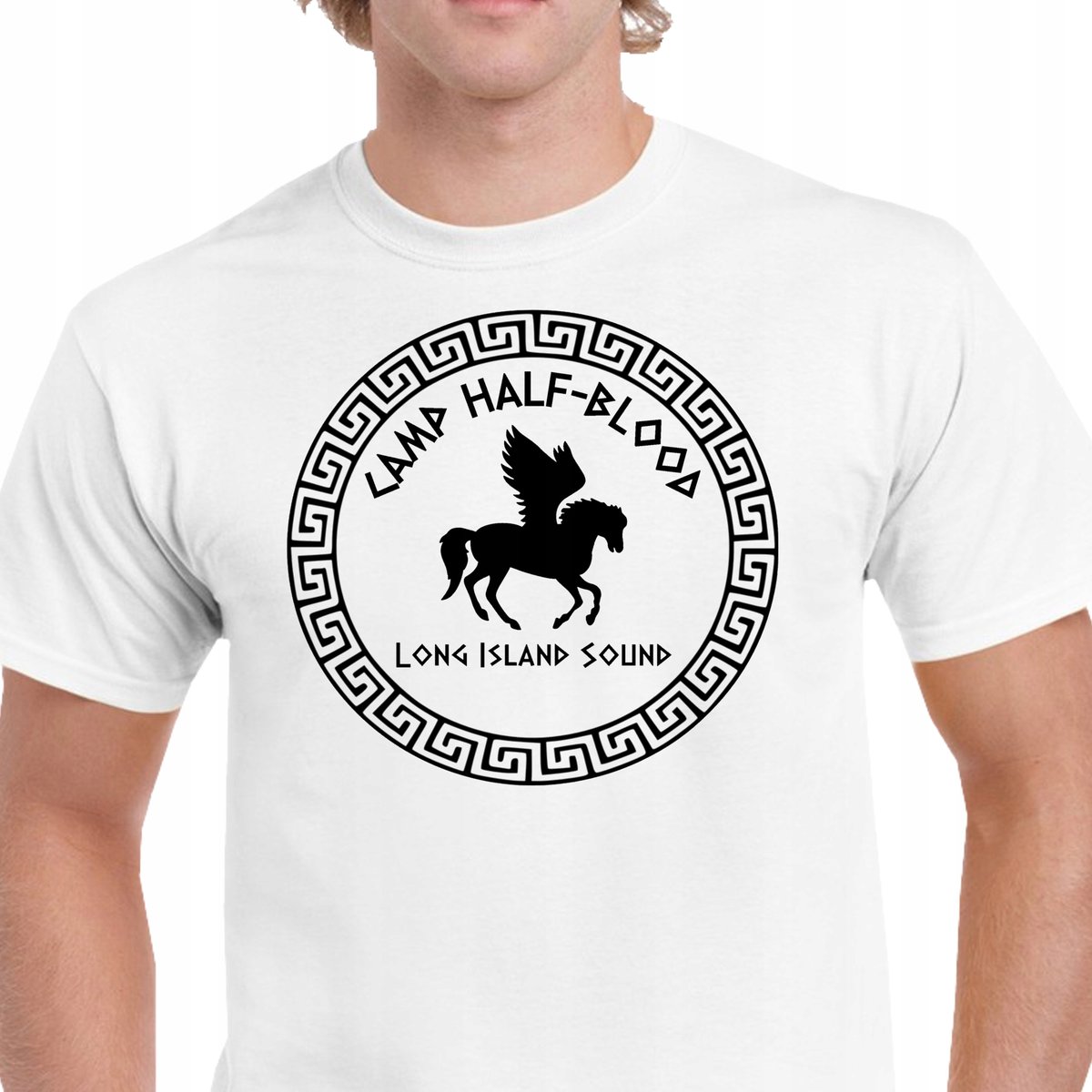 KOSZULKA MĘSKA CAMP HALF BLOOD Percy Jackson OLIMP APOLLO M BAWEŁNA P029 - JHK | Moda Sklep ...
